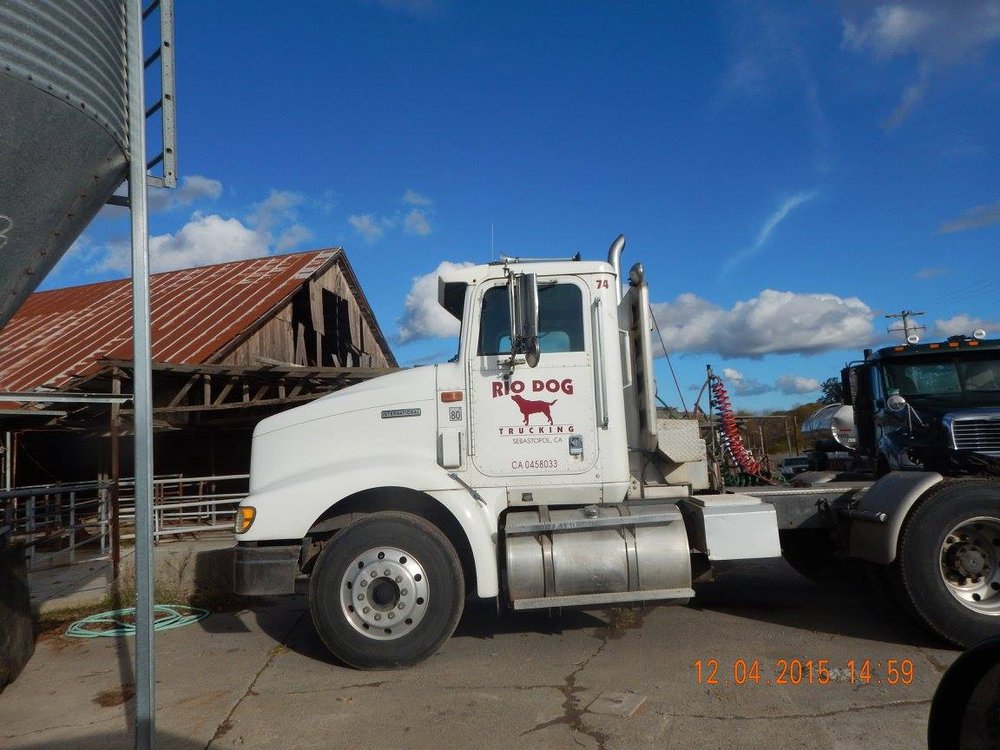 RIO DOG TRUCKING - Updated November 2024 - Request a Quote - 5261 ...