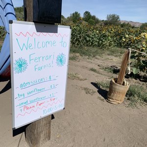 TOLL HOUSE PUMPKIN PATCH - 12185 S Virginia St, Reno, NV - Yelp