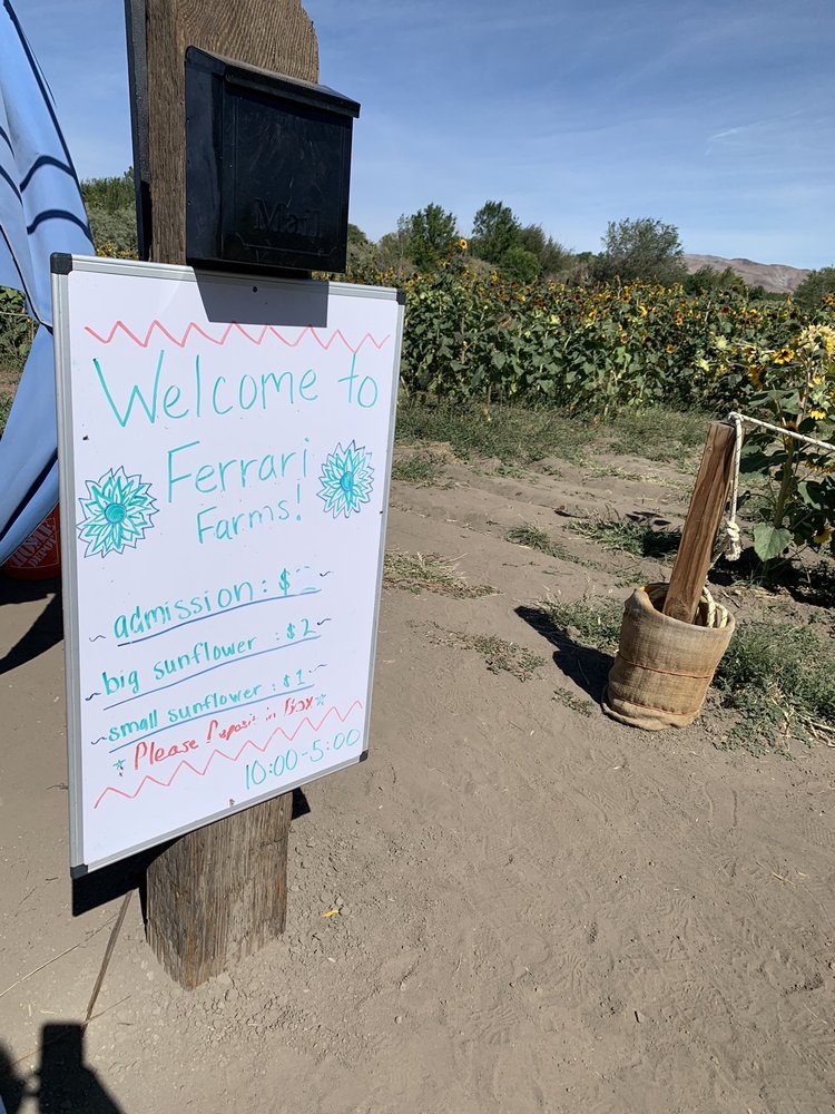 FERRARI FARMS - 96 Photos & 35 Reviews - Pick Your Own Farms - 4701 ...