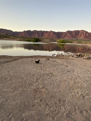 FIRE LAKE PARK AT IVINS RESERVOIR - Updated October 2024 - 1508 ...