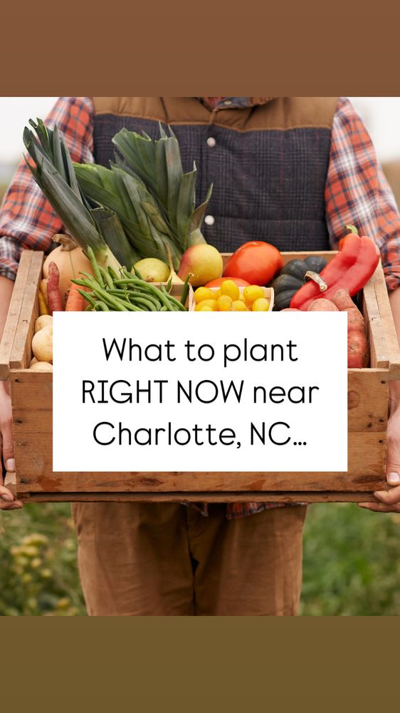 RUBY BLOOM FARM - Updated May 2025 - Concord, North Carolina - Nurseries & Gardening - Phone ...