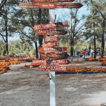 SANTAS CHRISTMAS TREES FOREST - Updated October 2025 - 272 Photos & 83 ...