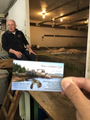 RYER’S LOBSTERS - 57 Photos & 32 Reviews - 8494 Peggys Cove Road ...