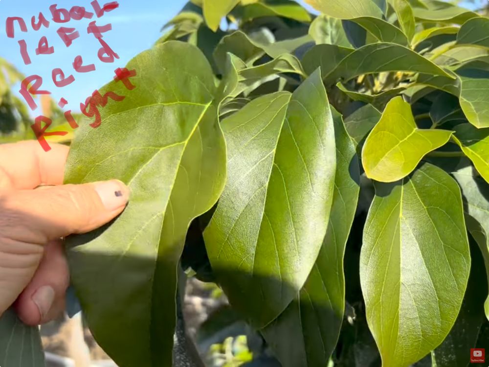 ELI’S FARMS - Updated June 2025 - 68 Photos & 50 Reviews - 2929 E ...