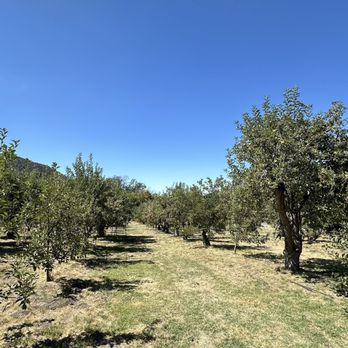 RILEY’S FARM - Updated December 2024 - 910 Photos & 434 Reviews - 12261 ...