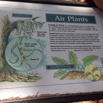 NATIVE AMERICAN SHELL RING - Updated December 2025 - 13 Photos - Fish ...