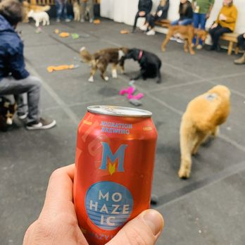 CYCLE DOG - Updated December 2025 - 50 Photos & 32 Reviews - 2056 NW ...