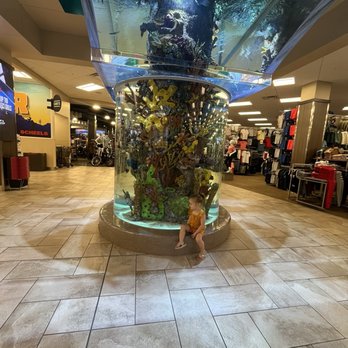 SCHEELS - Updated June 2025 - 813 Photos & 139 Reviews - 3199 W ...