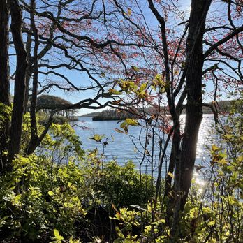 TRUSTOM POND WILDLIFE REFUGE - Updated July 2025 - 162 Photos & 17 ...