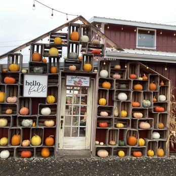 YESTERYEAR FARMS - TEMP. CLOSED - Updated July 2025 - 181 Photos & 99 ...