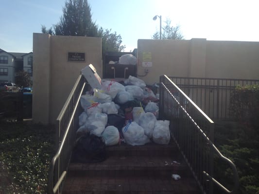 ONE 51 PLACE - Apartments - 15100 NW 150th Ct, Alachua, FL - Phone ...