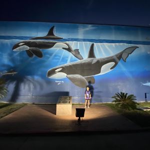 FRAGILE PLANET WILDLIFE PARK - Updated October 2025 - 38 Photos - 34748 ...