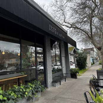 SCORPIO COFFEE - Updated April 2024 - 845 Photos & 298 Reviews - 1905 ...