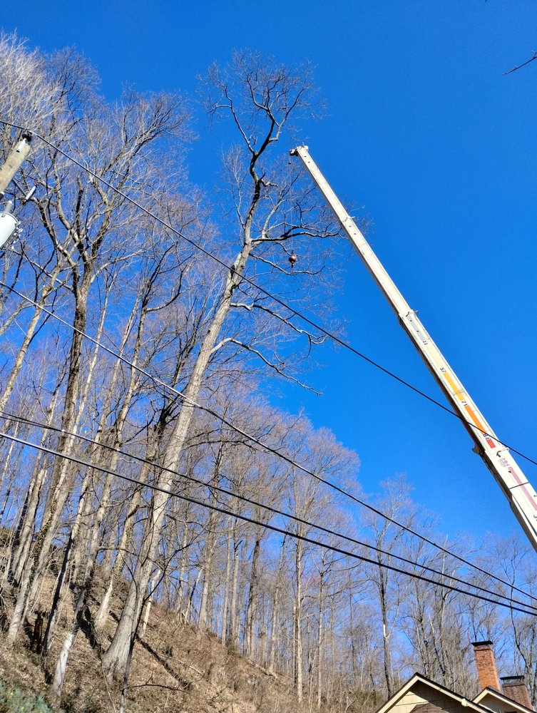 HENNESSY TREE CARE - Updated January 2025 - Hatboro, Pennsylvania ...