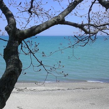 MILLARD PARK - Updated October 2025 - 89 Photos - Highland Park ...