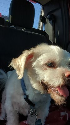 FRONTIER VETERINARY HOSPITAL - Updated September 2025 - 56 Photos & 118 ...