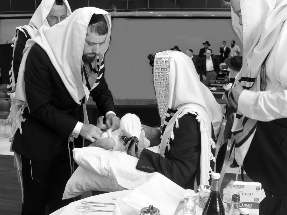 MOHEL RABBI DAVID FLEISCHMANN, CERTIFIED MOHEL - Far Rockaway, New York ...