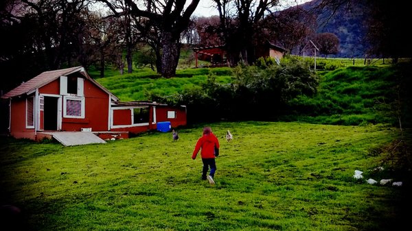 DIABLO VALLEY RANCH - Updated December 2025 - 42 Photos - 11540 Marsh ...