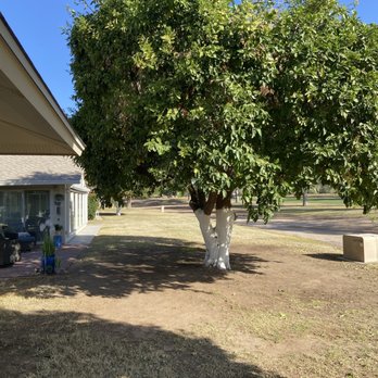 VALLEY TREE CARE - Updated May 2025 - 34 Photos & 76 Reviews - 711 W ...