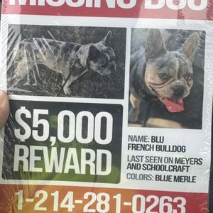 ALL PRO COLOR - Updated August 2025 - 30 Reviews - 20750 Chesley Dr ...