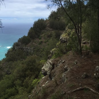 KAMILOIKI RIDGE TRAIL - Updated January 2025 - 91 Photos & 33 Reviews ...