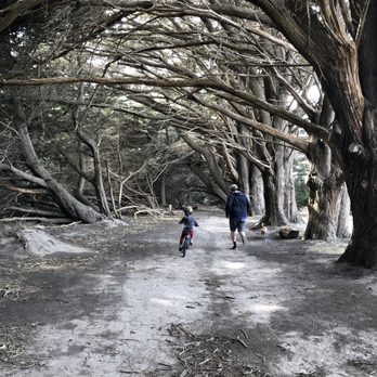 WAVECREST OPEN SPACE - Updated December 2025 - 159 Photos & 15 Reviews ...