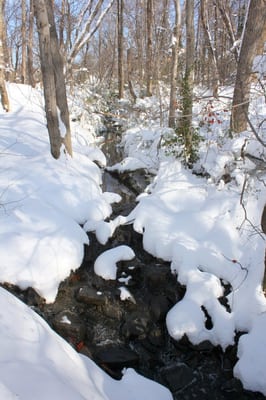 HOLMES RUN SCENIC EASEMENT - Updated May 2025 - 20 Photos - Holmes Run ...