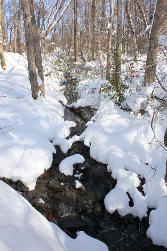 HOLMES RUN SCENIC EASEMENT - Updated May 2025 - 20 Photos - Holmes Run ...