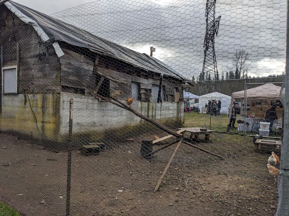 INFINITY FARM - Updated October 2024 - 20 Photos - 16523 Issaquah ...