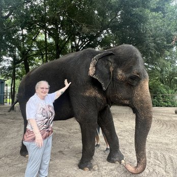 TWO TAILS RANCH - Updated December 2025 - 125 Photos & 94 Reviews ...