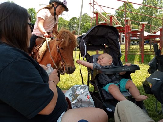 LITTLE RASCALS PONY RIDES AND PETTING ZOO - Updated May 2025 - 27 ...