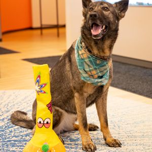 BERKSHIRE ROOTS - Updated April 2025 - 101 Photos & 44 Reviews - 501 ...