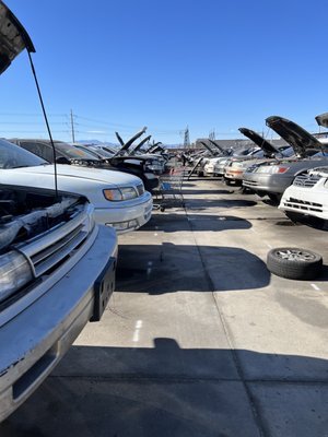 NEVADA PIC-A-PART - Updated June 2025 - 27 Photos & 45 Reviews - 110 W ...