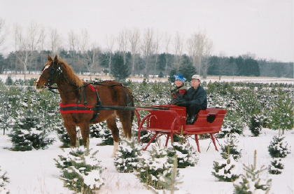 LARSON’S FAMILY FARM - TEMP. CLOSED - Updated November 2025 - 12 Photos ...