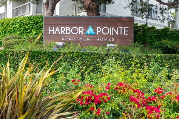 HARBOR POINTE - Updated October 2025 - 64 Photos & 68 Reviews - 32762 ...