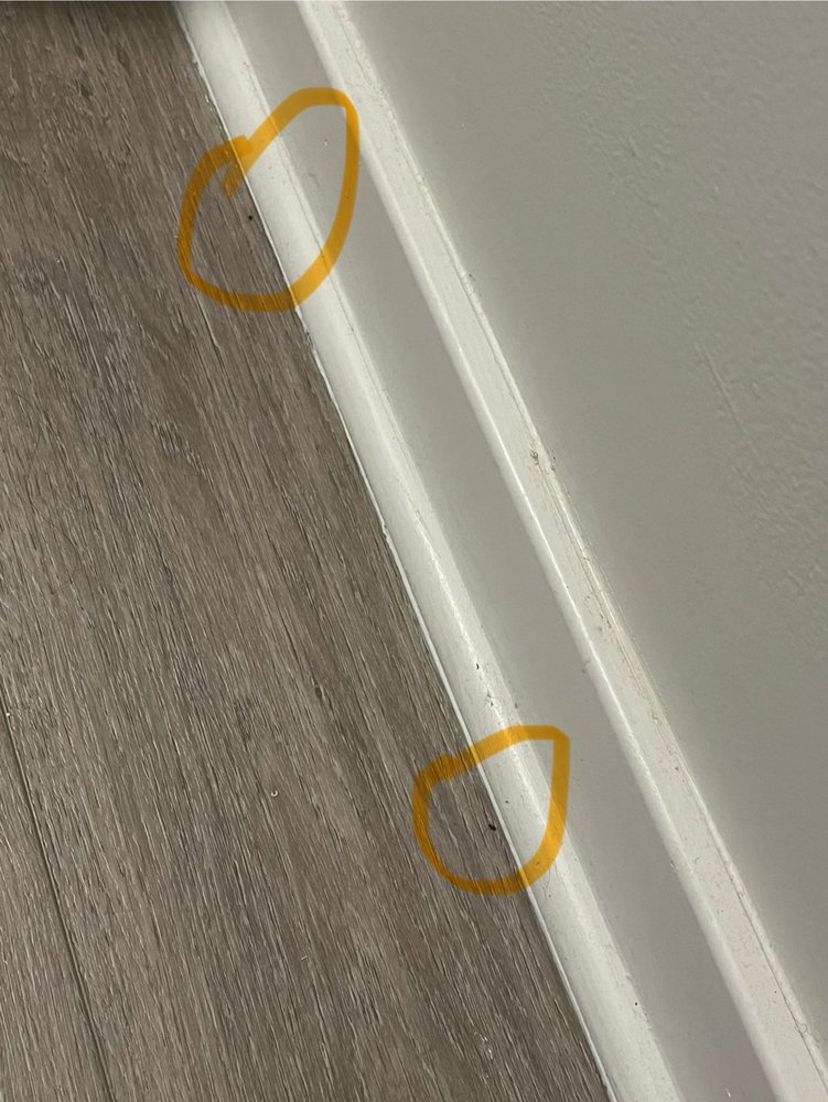 1500 LOCUST - Updated October 2025 - 92 Photos & 68 Reviews - 1500 ...