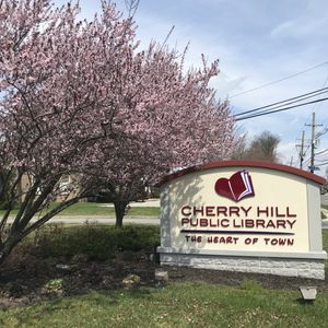 EVESHAM LIBRARY - Updated May 2025 - 10 Photos - 984 Tuckerton Rd ...