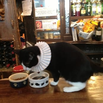 SEVEN STARS - Updated October 2025 - 32 Photos & 65 Reviews - 53-54 ...