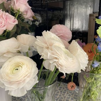 CYMNOW FLOWERS - Updated June 2024 - 145 Photos & 30 Reviews - 6757 ...