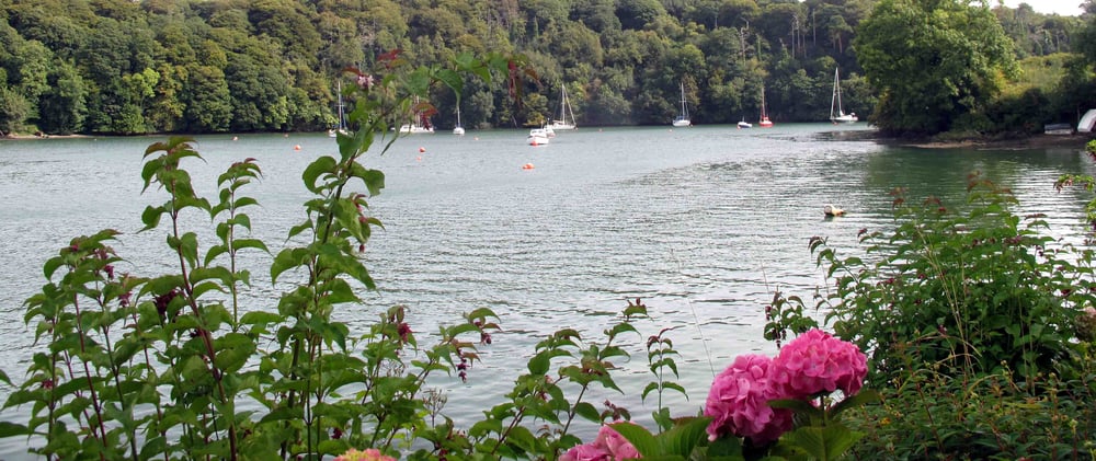 DRAKE’S POOL - Updated June 2024 - Crosshaven, Co. Cork, Republic of ...