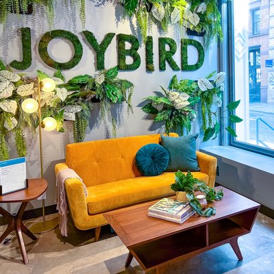 JOYBIRD - Updated July 2025 - 40 Photos & 19 Reviews - 83 Wooster St ...