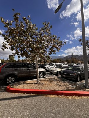 BANNING COURTHOUSE - Updated December 2025 - 52 Photos & 18 Reviews ...