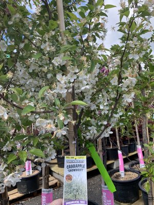 MENARDS - Updated January 2026 - 27 Photos & 13 Reviews - 7702 ...