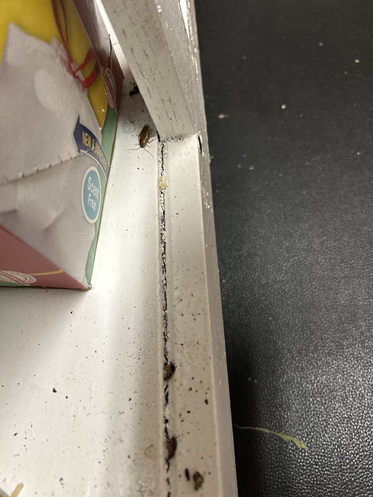 HEATHER RIDGE APARTMENTS - Updated September 2024 - 30 Photos - 4030 ...