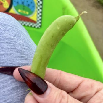 FOX POINT FARMS - Updated April 2025 - 300 Photos & 110 Reviews - 1150 ...