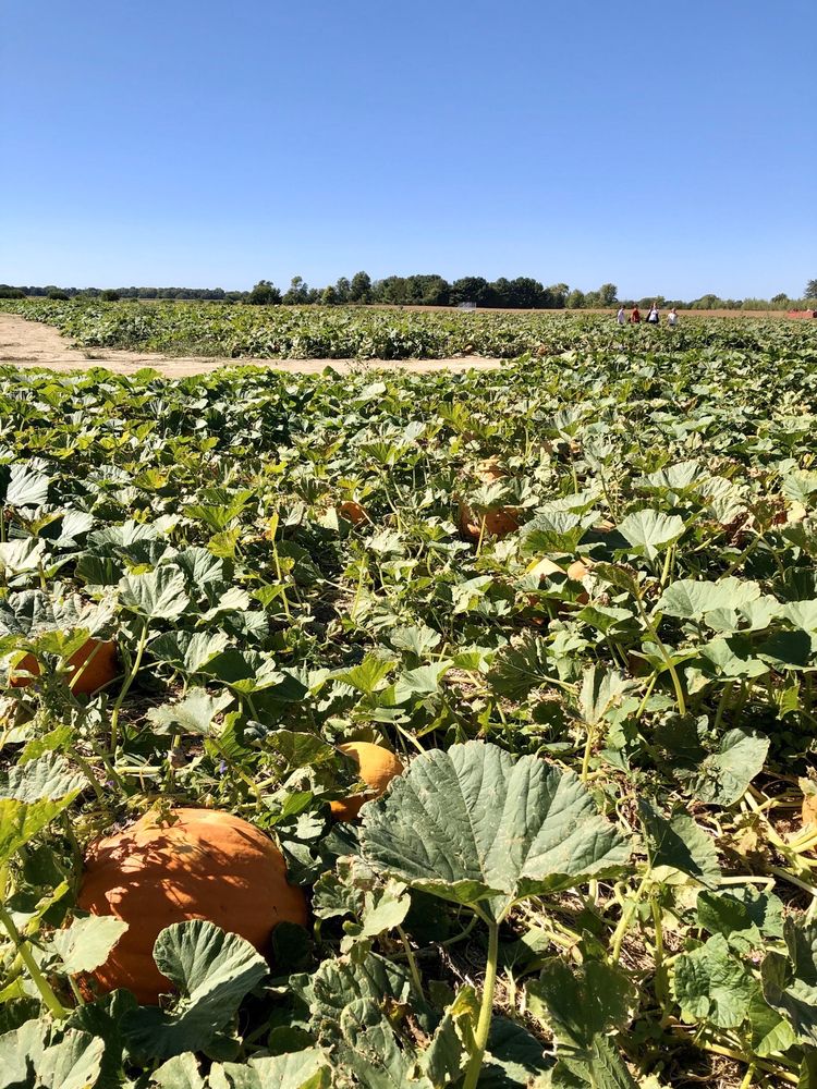 EXPLORATION ACRES - 64 Photos & 27 Reviews - 6042 Newcastle Rd ...