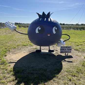 BLUEBERRY BUNCH FARM - TEMP. CLOSED - Updated October 2025 - 98 Photos ...