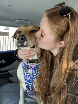 FRIENDS FOR LIFE ANIMAL RESCUE - Updated January 2026 - 43 Photos & 59 ...