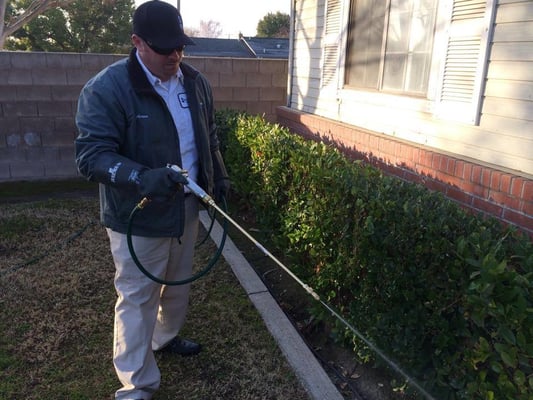 ALLPRO PEST SERVICES - Updated November 2025 - 16 Photos & 56 Reviews ...