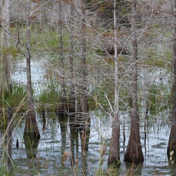 BLUEGILL TRAIL - Updated July 2025 - 14 Photos - 4700 Donald Ross Rd ...